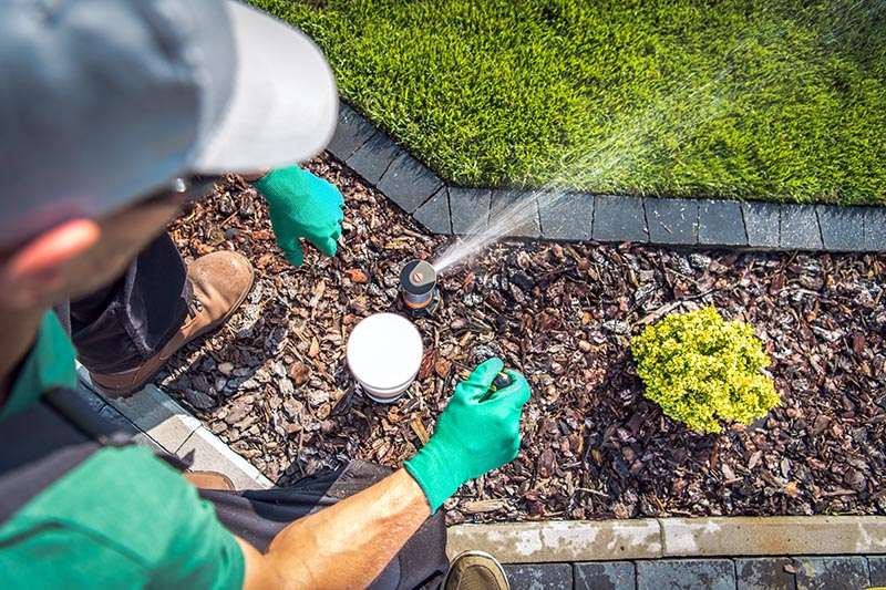 Local Irrigation Business Near Me Sprinkler Repair Of Texas